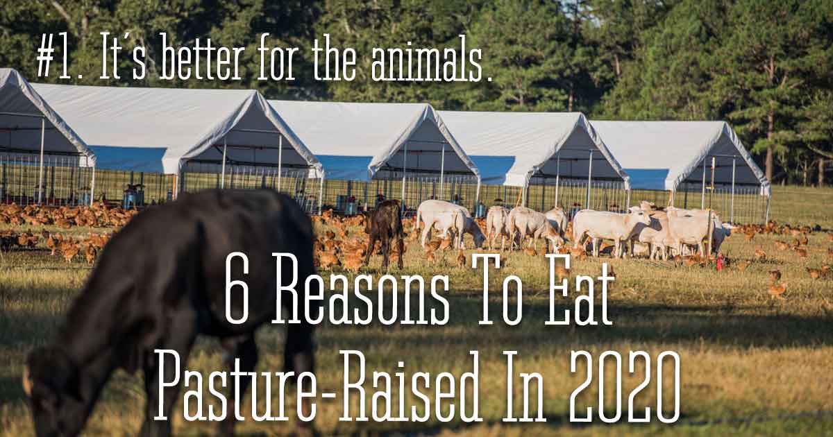 6 Reasons To Eat Pasture-Raised in 2020