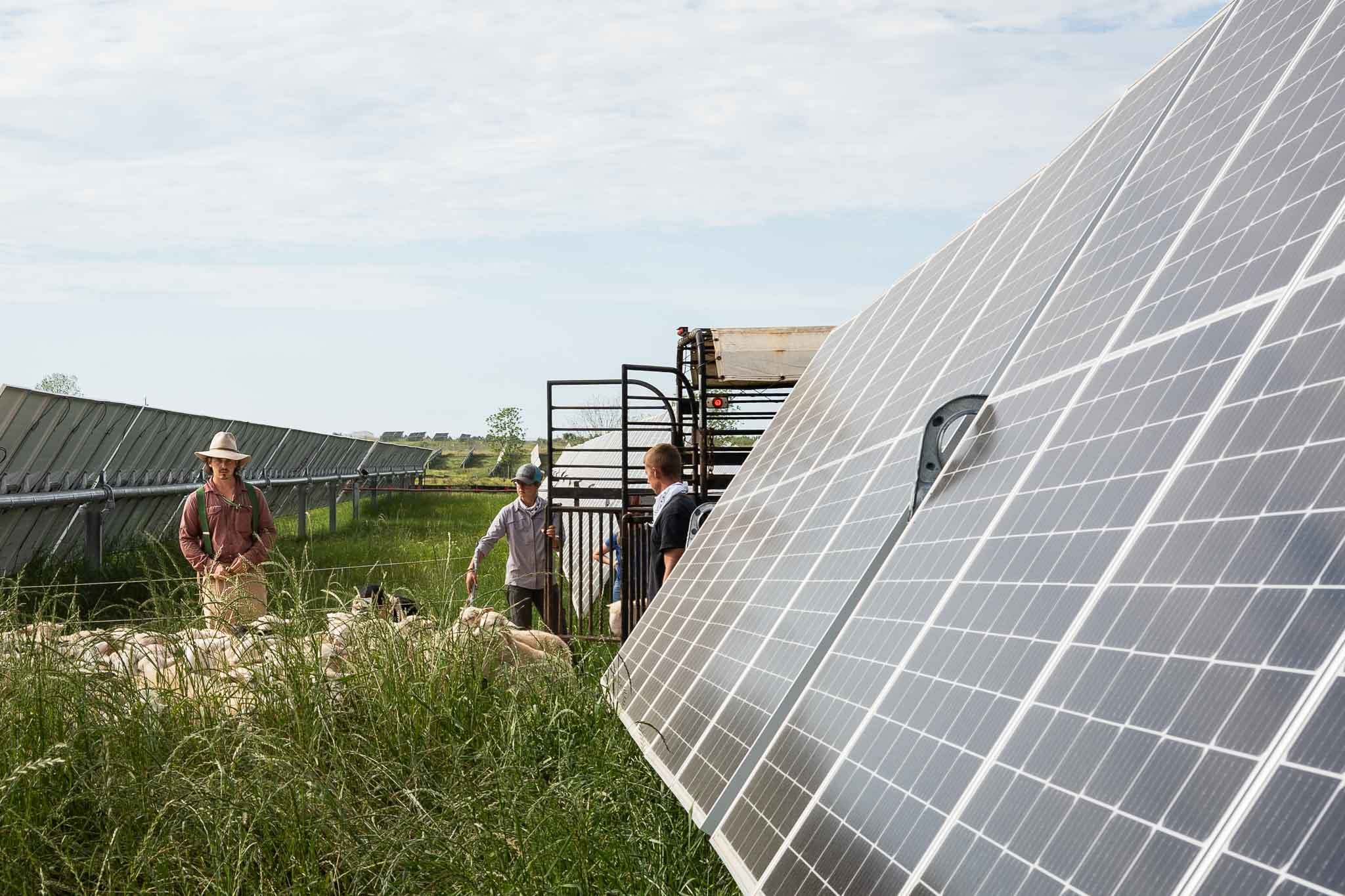 A Landmark Day in Energy and Agriculture: From Reductive to Renewable ...