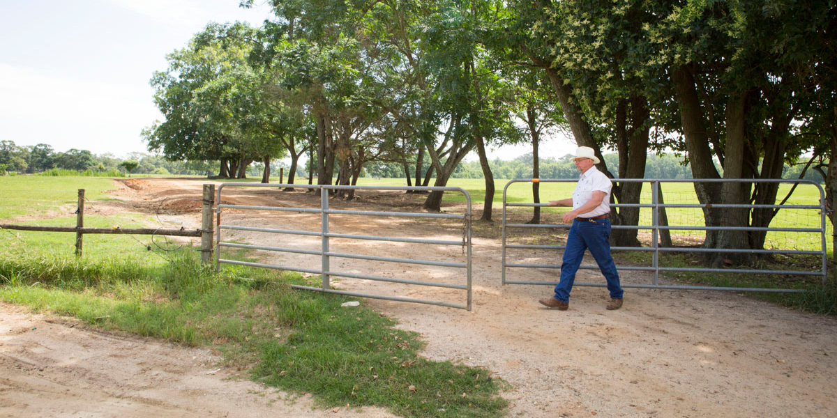 What is the 'right size' for regional value chains?