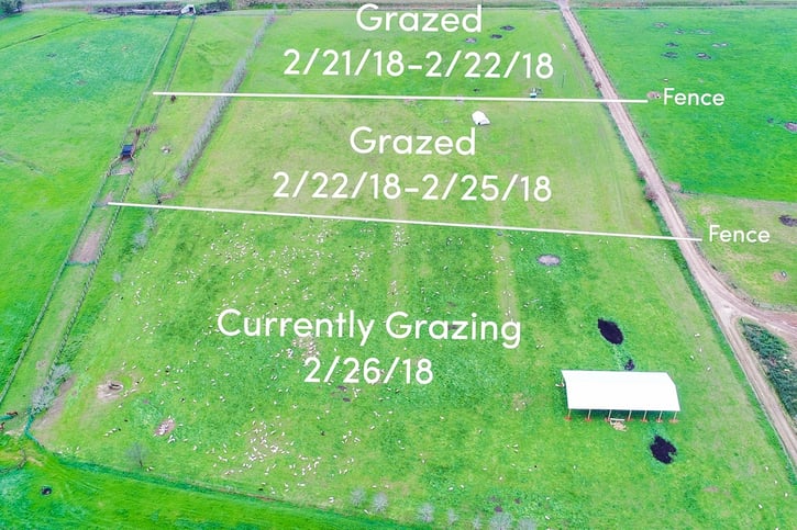Drone Pasture Monitoring