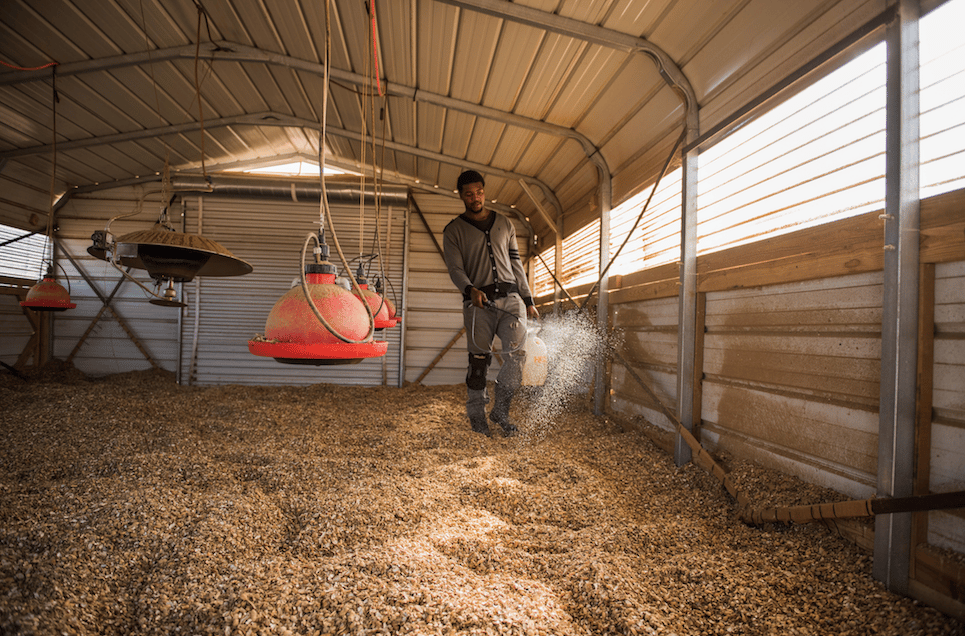 Biofertilizer Use In Our Poultry Program